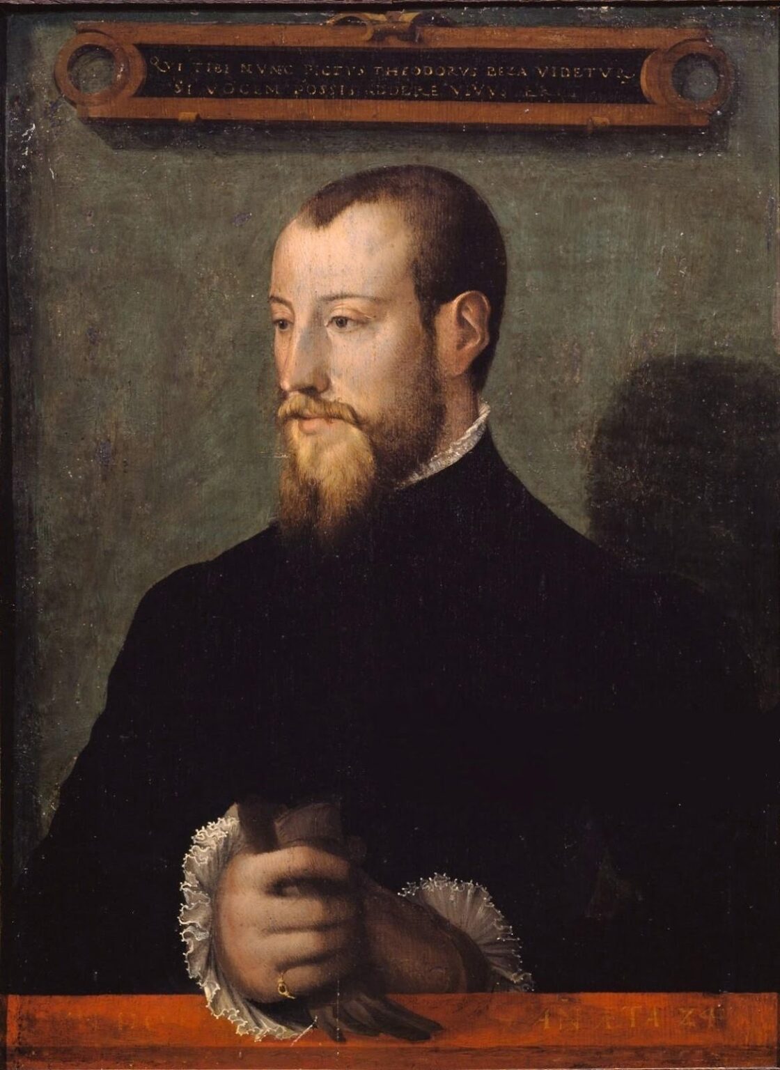 Teodoro de Beza: sucesor de Calvino, erudito bíblico y defensor de los ...